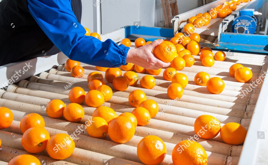 Prodalim Group Announces Entry into the North American Juice Market ...